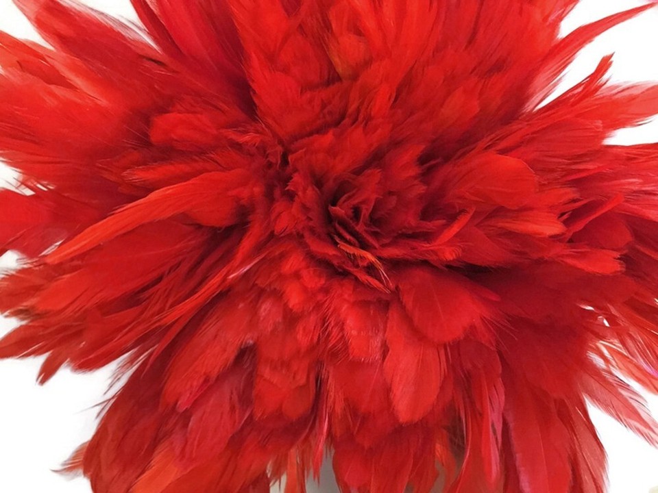 4 Inch Strip - Red Bleached & Dyed Strung Rooster Schlappen Feathers ...