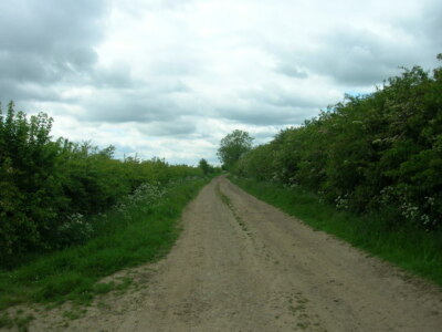 Photo 6x4 Farm Track towards Kelk Beck Great Kelk c2009 | eBay UK