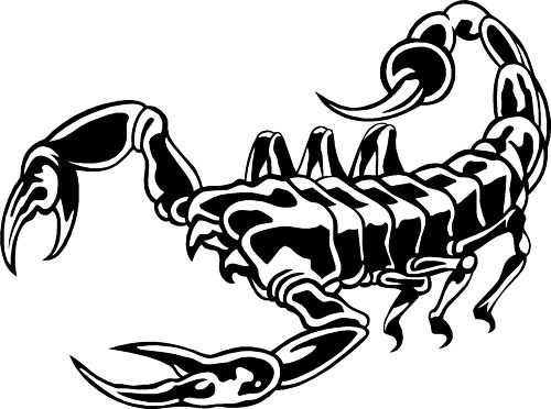 Tribal Scorpion Car,Land Rover Van 4x4 Bike Stickers ~4 | eBay
