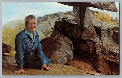 Eleanor Webb Hemlock Hall Blue Moutain Lake New York Postcard | eBay