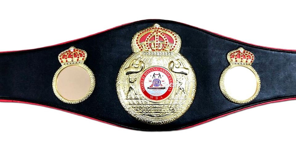 IBF IBO WBA WBC WBO Set of All Boxing Championship Title Belts Adult ...