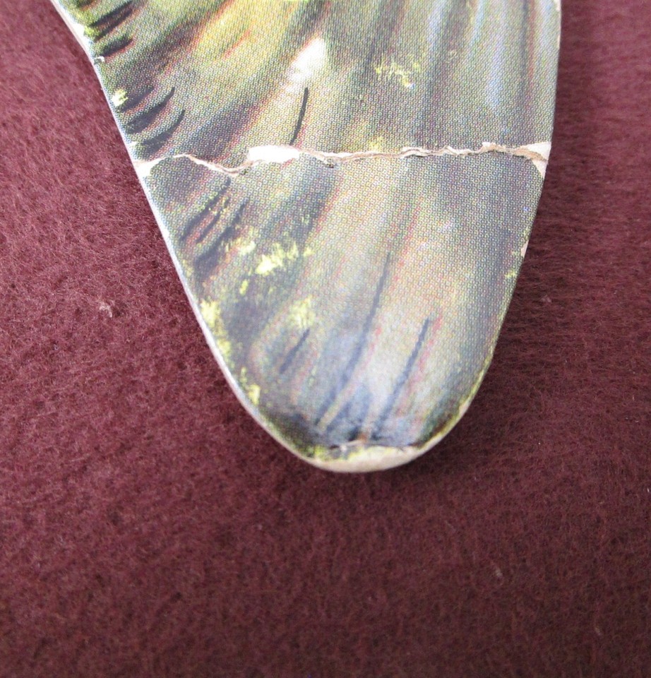 Vintage Winchester Fishing Lure Advertising Cardboard Bass Sign | eBay