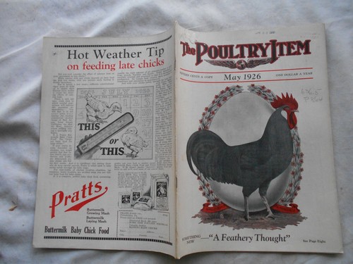 THE POULTRY ITEM Magazine-MAY,1926 | eBay