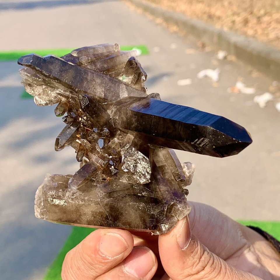 117G Natural black crystal skeleton cluster black mineral mud sample ...