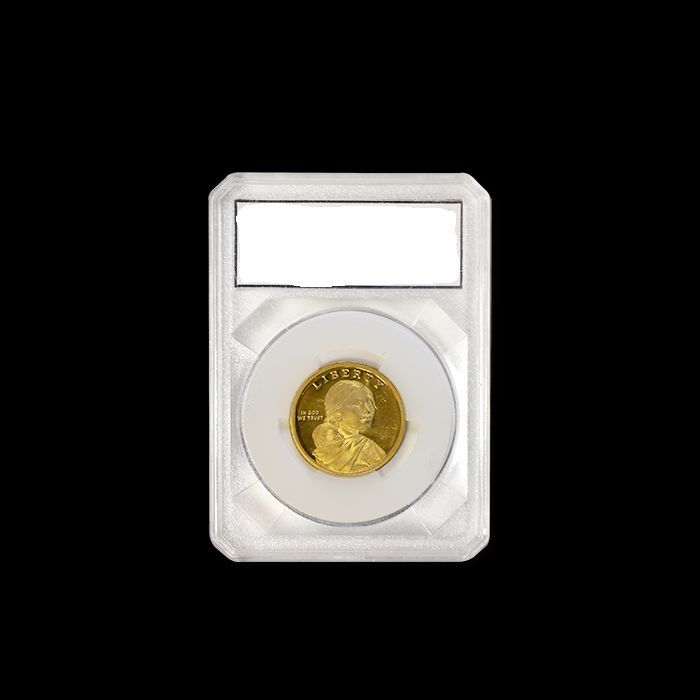 100 Guardhouse Defender Coin Display Slab Holder Wit Silicone Insert ...