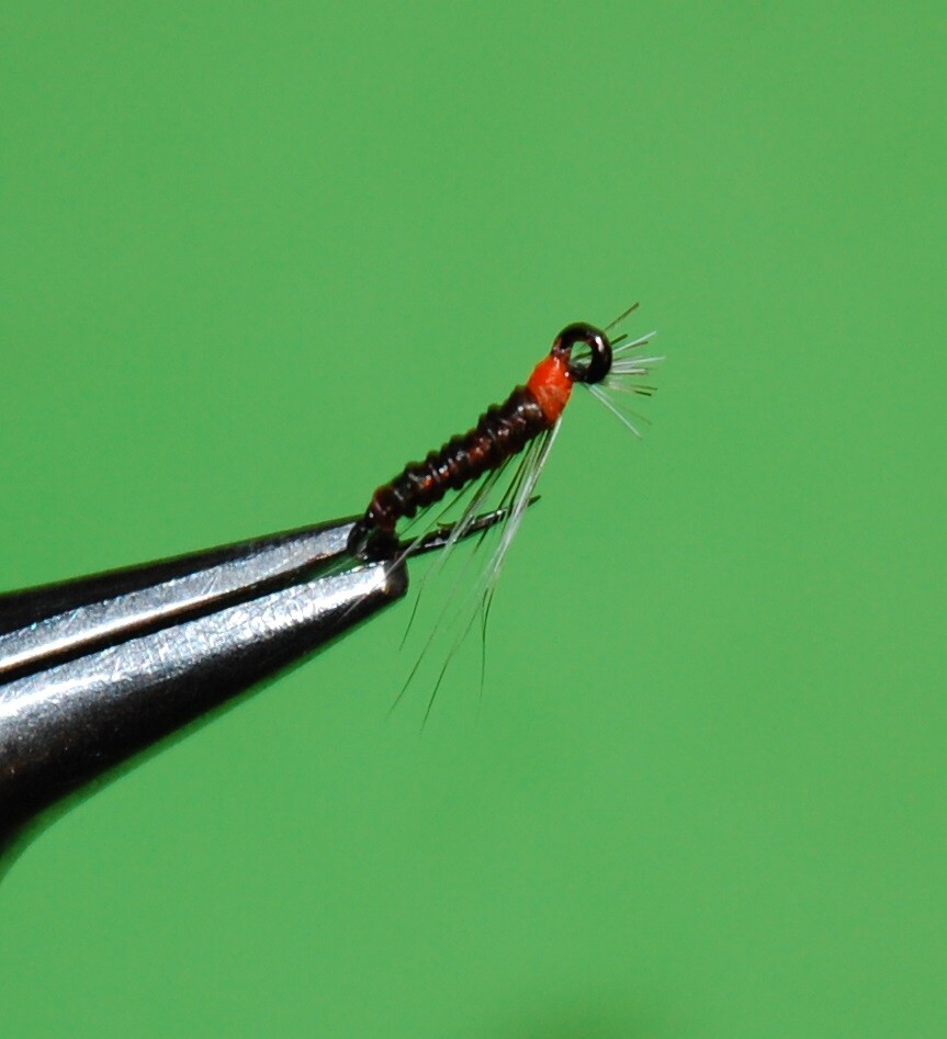 1 dozen (12) Nano Emerger - Life Stage Pupa - Sub Surface Fly - Tandem ...