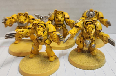 Imperial Fists Terminator Assault Squad w/ Lightning Claws PAINTED | eBay
