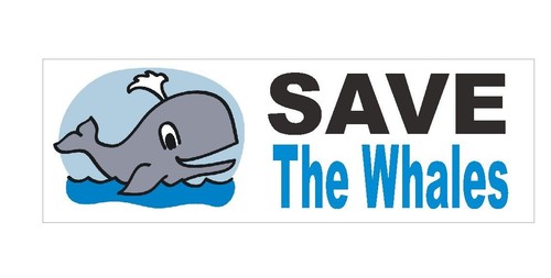 Save The Whales Bumper Sticker or Helmet Sticker D408 Animal Rights | eBay