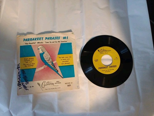 Vintage Teach Your Bird Parrot Parakeet 45 Record | eBay