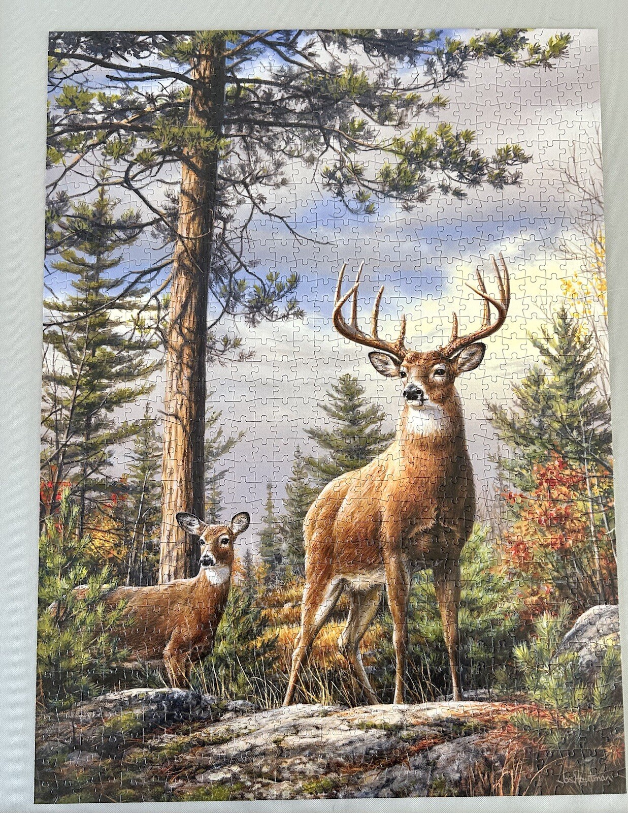 Buffalo Games Standing Proud 1000 pc Puzzle Buck Deer Complete | eBay