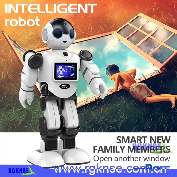 rgknse Sale robots Humanoid robot Walking/turning/sliding robot ...