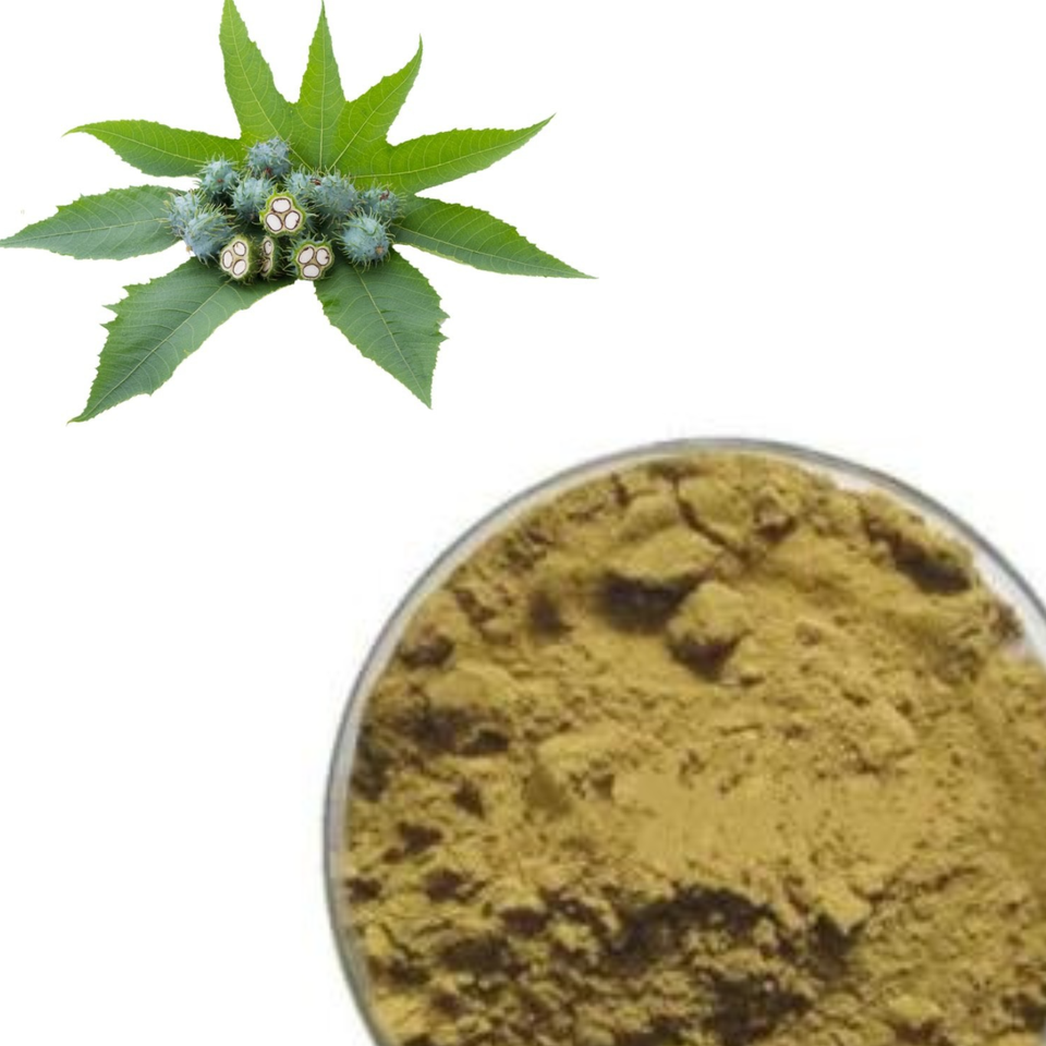Dried Castor Leaves Powder Organic Ricinus Communis Ayurvedic Natural ...
