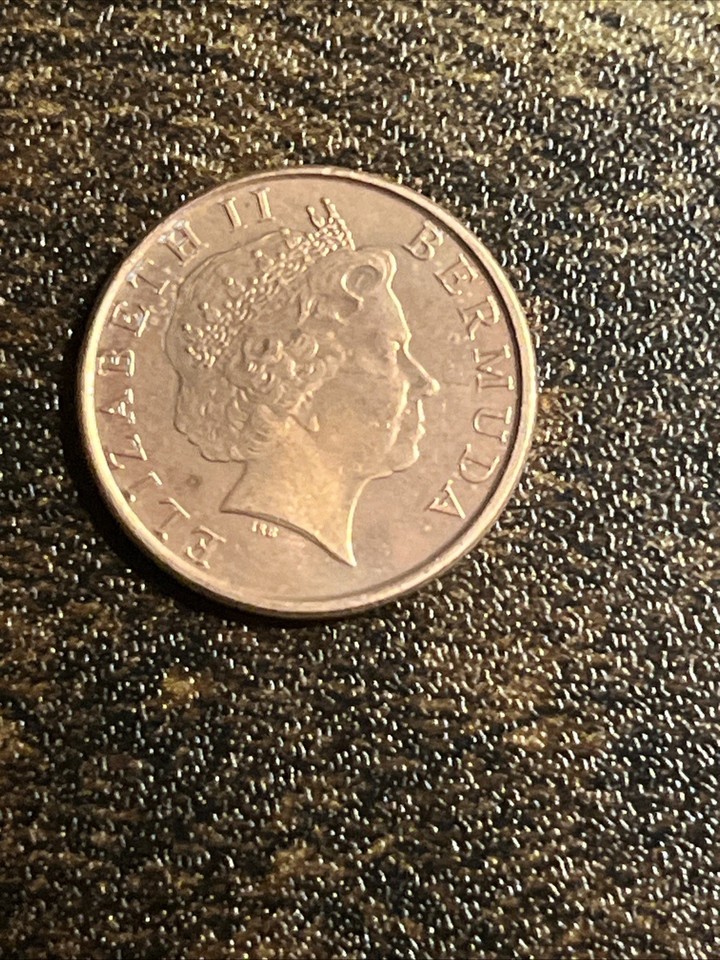 1999 Bermuda Bermudian 1 One Cent Elizabeth II Wild Boar Actual Coin ...