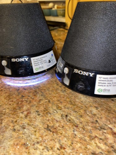 PAIR TWO SONY SA-NS300 DLNA Wireless Network Party Speaker ...No Remote ...