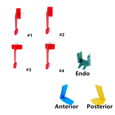 Dental Imaging & X-Ray - Dental Bite-Wing