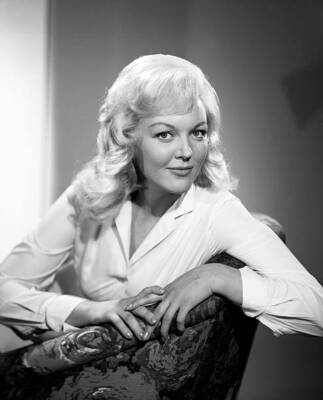 Hogan's Heroes Cynthia Lynn 1965 TV OLD PHOTO 8 | eBay