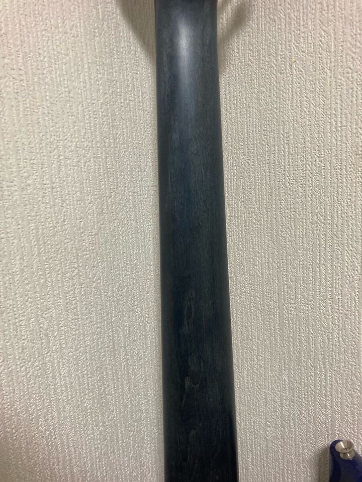 Fernandes Zeek Guitars Strandberg Dimarzio Bare Knuckle Pickups ...