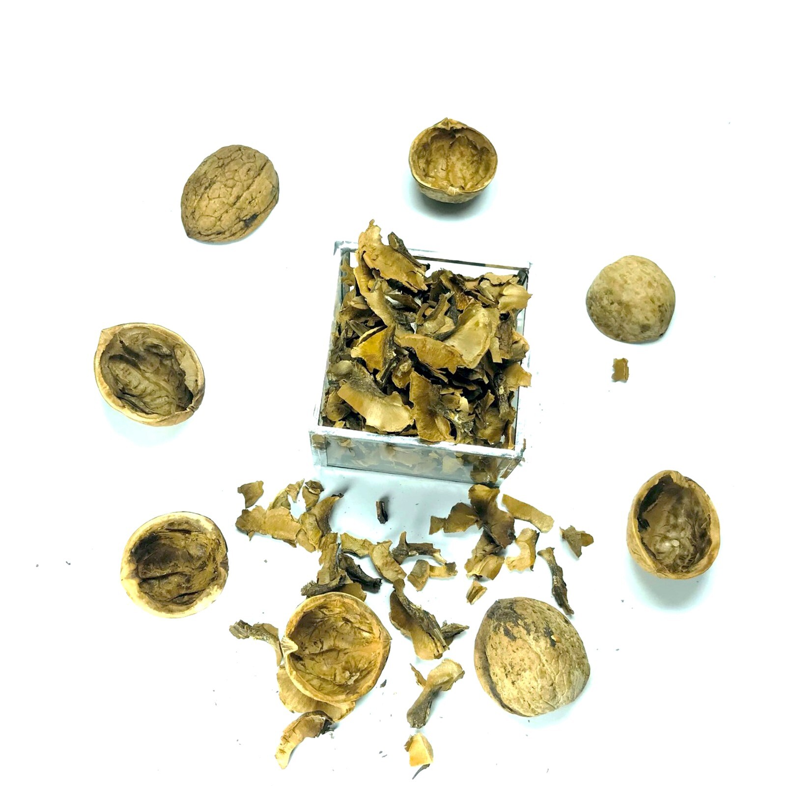 Organic dried Walnut Partitions Natural Decoration Crafting Organic ...