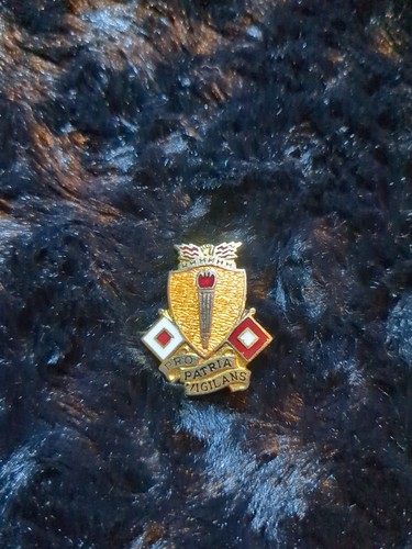 Vintage US Army Signal School Pro Patria Vigilans Unit Crest Pin | eBay