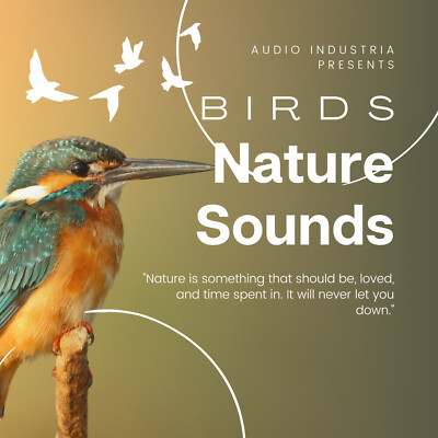 Nature Sounds CD Birds CD Bird Song Sounds Special FX Foley FREE UK P&P ...