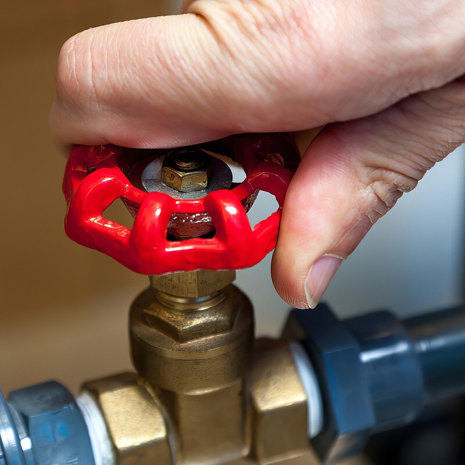 2 PCS Valve Handle Pull Handles for Doors Shut off Replacement Gate | eBay