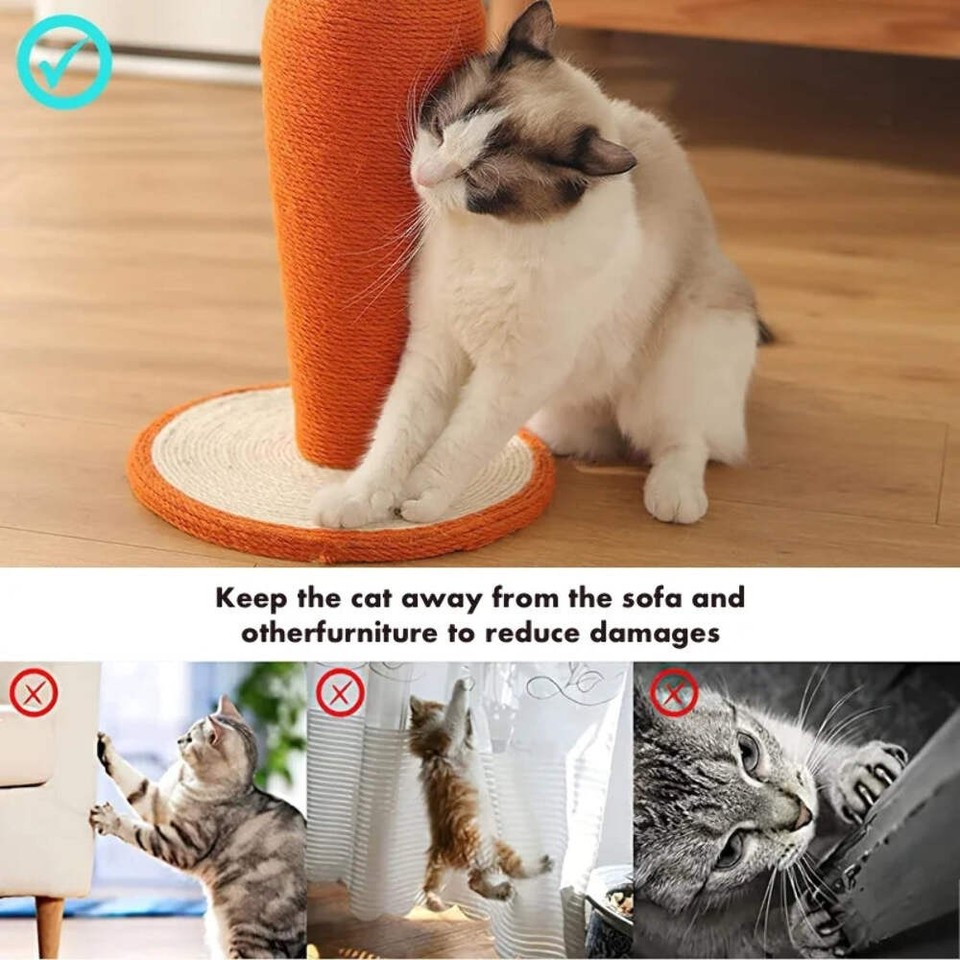 Carrot-shaped Cat Scratching Post Claw Scratcher | eBay UK