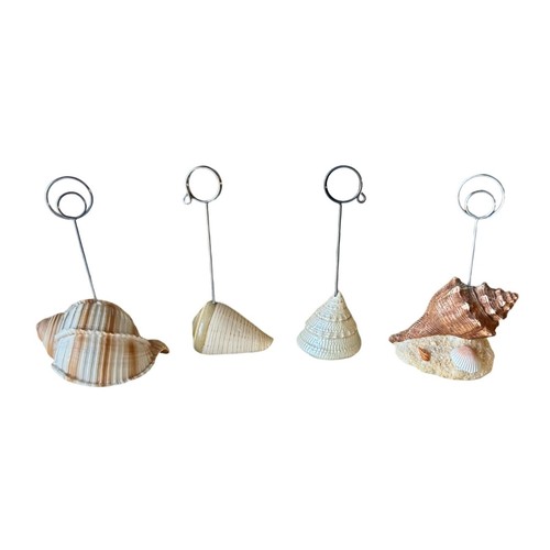 4 Single Sea Shell Photo Holders -Sea Shells With Metal Photo Holders ...