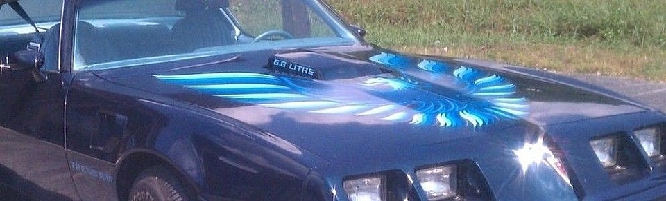 1978 - 81 TRANS AM COMPLETE DECAL KIT W/ 1 PC HOOD BIRD - BLUE - GM ...