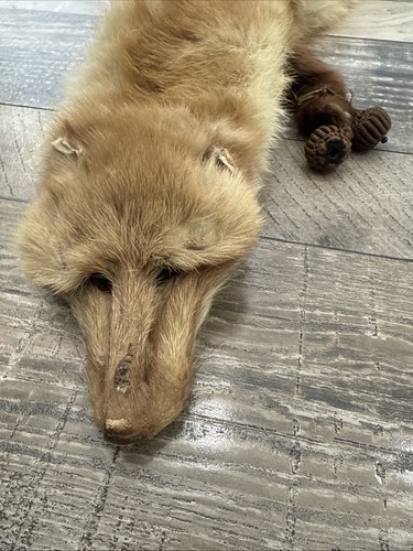 Genuine Red Fox Fur Handmade Exclusive Shoulder Wrap Scarf Boa ...