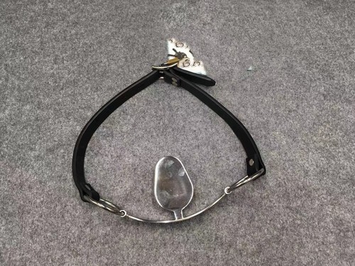Stainless Steel Binding Tongue Depressor Scold's Bridle Mouth Flail ...