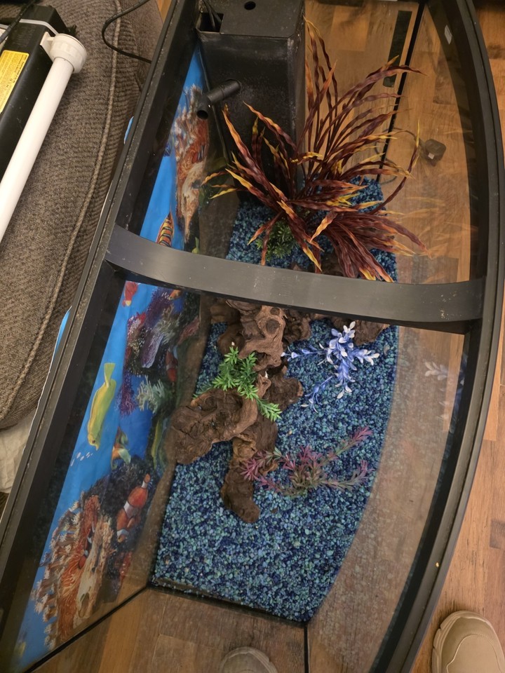 Jewel Vision 180 LED Aquarium Curved Fish Tank with LED Lighting ...