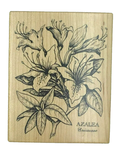 PSX K-015 Azalea Botanical Wood Mounted Rubber Stamp, Flowers | eBay