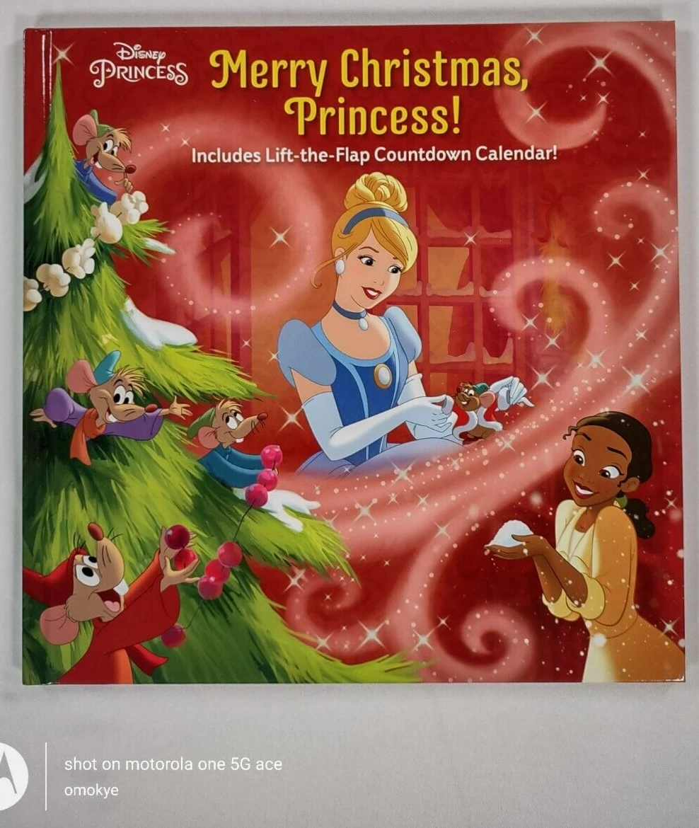 Merry Christmas Disney Princess
