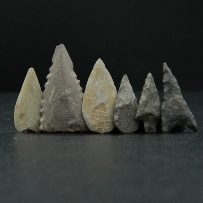Neolithic & Paleolithic - Neolithic Arrowheads - 4