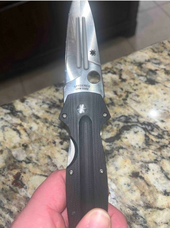 Spyderco Folding Knife Silver Steel Blade G-10 Handle w/ Box | eBay