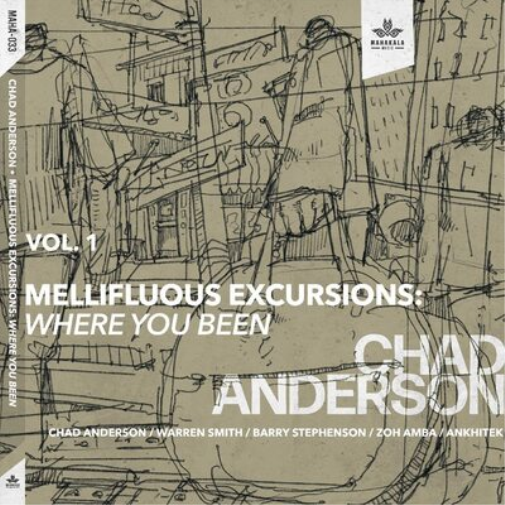 Chad Anderson Mellifluous Excursions: Where You Been - Volume 1 (CD ...