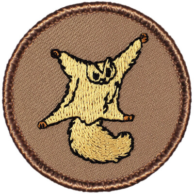 Flying Squirrel Patrol Patch - 2" Round Embroidered Patch | eBay