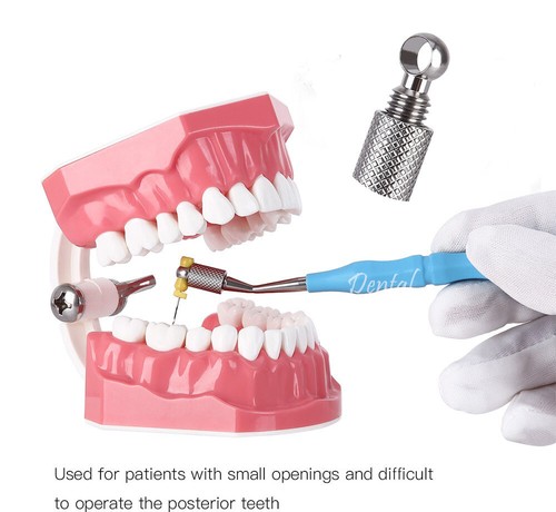 Dental Files Holders K-File Handle Endodontic Posterior Root Canal Clip ...