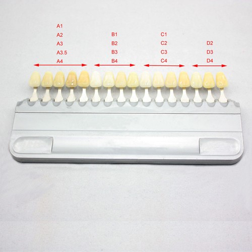 New Dental Porcelain 16 Colors Shade Guide Teeth Dentist Lab Equipment ...