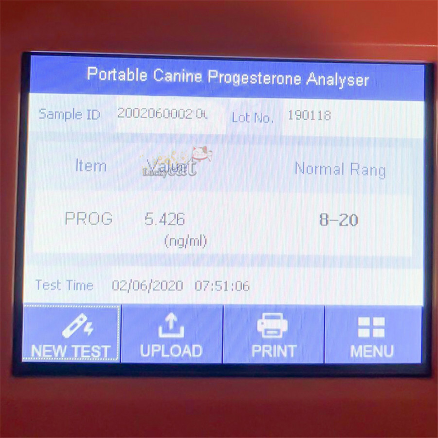 Dog Progesterone Analyzer Portable Tester Canine Progesterone Testing ...