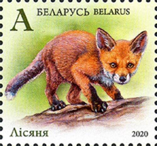 Belarus Animals Eurasian Lynx Wikipedia