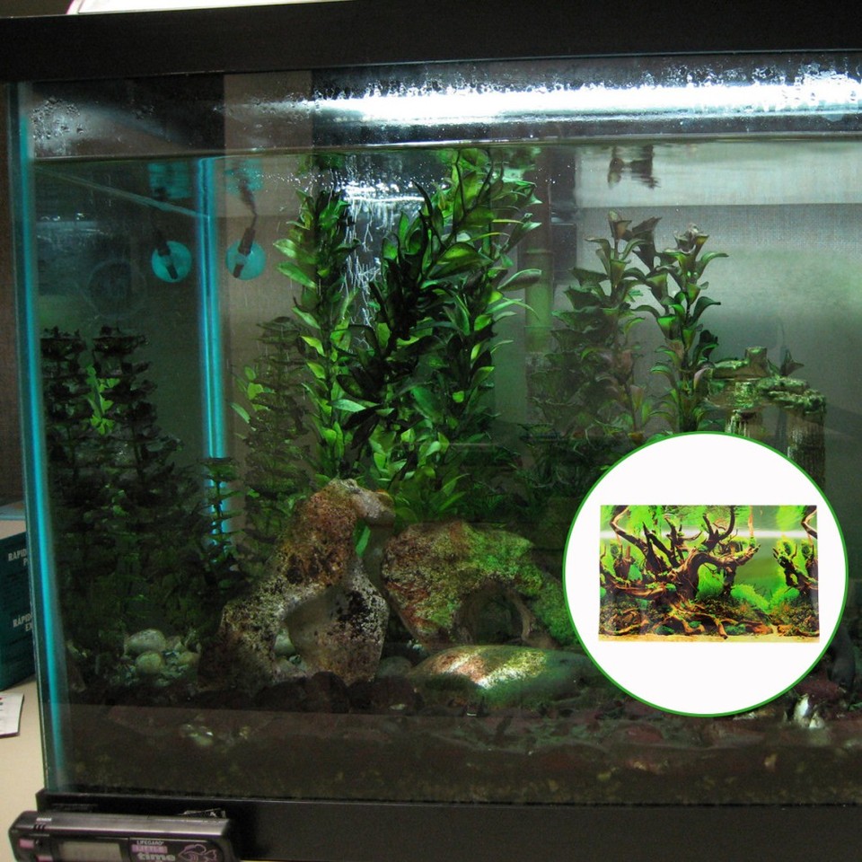 Background Sticker Double Sided Aquarium Adhesive Wallpaper For Fish ...