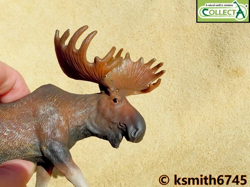 CollectA BULL MOOSE solid plastic toy wild zoo woodland animal deer ...