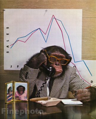 1959 MONKEY HUMOR Chimpanzee CEO Professional SALESMAN Business Animal ...