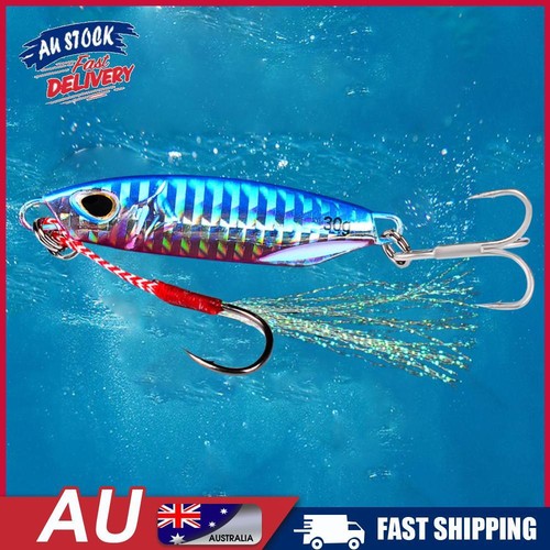 AU 30g 65mm Sea Lure Metal Sequins Iron Plate Long Cast Fishing Lure ...
