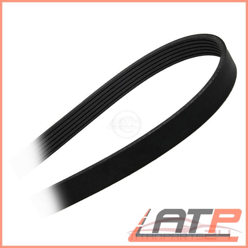 V-RIBBED V-RIB BELT 4 RIBS 778 MM 32481298 | eBay UK