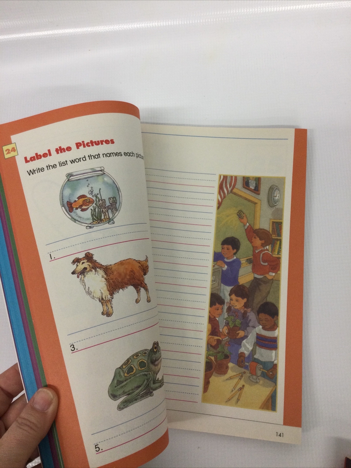 Spelling 2008 Student Edition Consumable Grade 1 by Scott Foresman ...