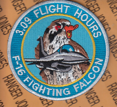 USAF Air Force 309th Fighter Sq FS Duck F-16 3.09 Fighting Falcon ~4 ...