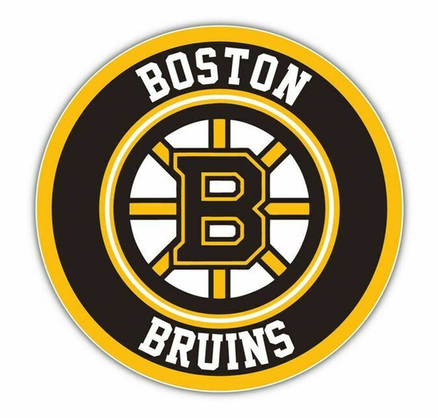 Boston Bruins Logo NHL Sticker Vinyl Decal 4-1311 | eBay