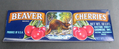 Wholesale Lot of 24 Old Vintage -BEAVER - CHERRY LABELS - Victor CA. | eBay